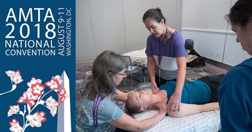 Massage CE: Anatomy-Focused Approaches and Techniques - AMTA Arkansas ...